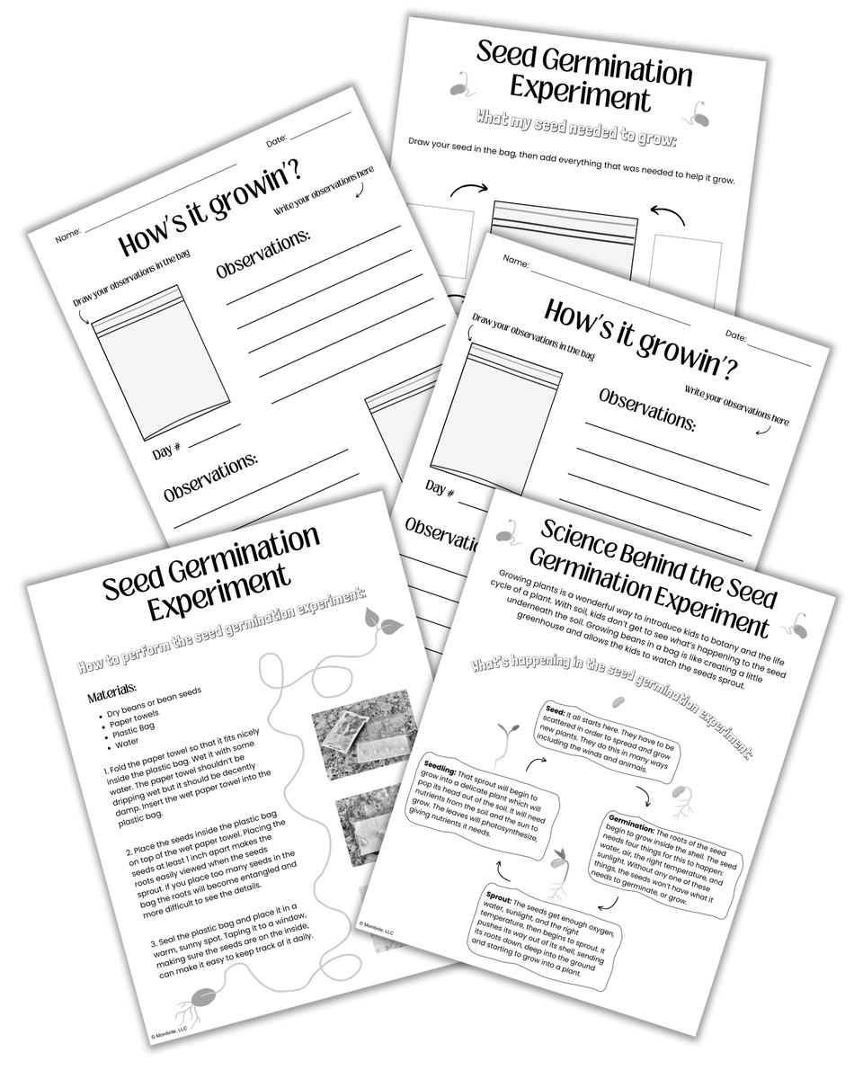 Bean-in-a-Bag Seed Germination Experiment Worksheets – Mombrite