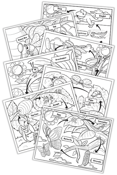 COLORING PAGES – Mombrite